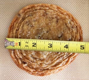 Ina's Giant Crinkled Chocolate Chip Cookies - AimeeStock.com